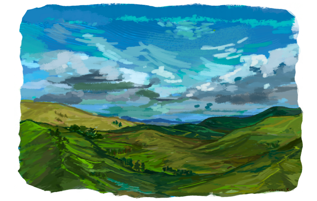 Explore the Bean to Cup Process at Vui Coffee Roasters