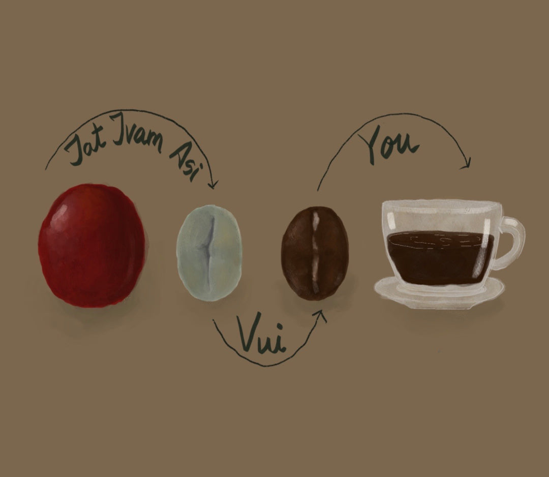 Explore the Bean to Cup Process at Vui Coffee Roasters